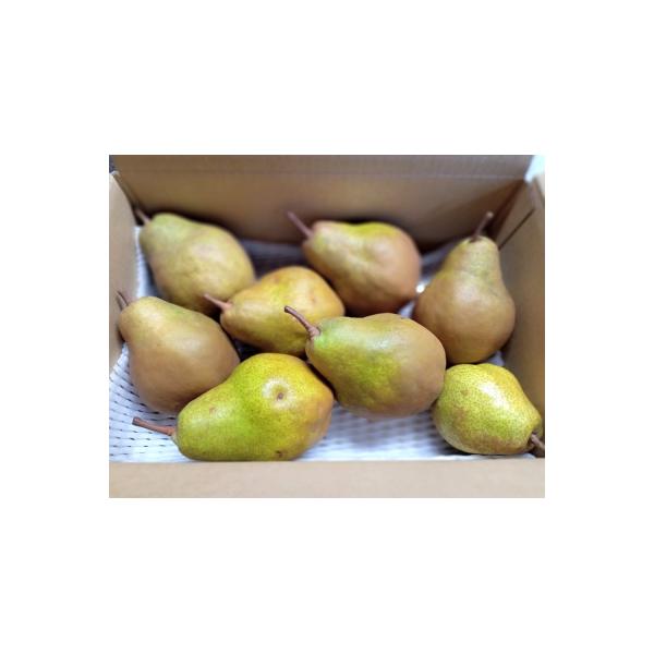 ■お礼品詳細　・配送方法：通常便　・事業者：狼石果樹園■お申し込み・配送・その他　・発送時期：2025年12月上旬〜2026年1月下旬迄　・申込受付期間：2026年1月18日迄　・配達外のエリア：離島、沖縄県　・寄付証明書の送付時期目安：申...