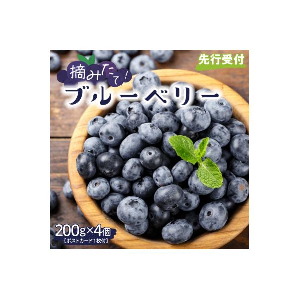 ■お礼品詳細　・配送方法：冷蔵　・提供事業者：NPO法人上美生「みんなのお店　KAMIBI」■お申し込み・配送・その他　・発送時期：2026年7月中旬頃から8月下旬にかけて順次発送 ※収穫状況により、発送予定から前後する場合がございます。（...