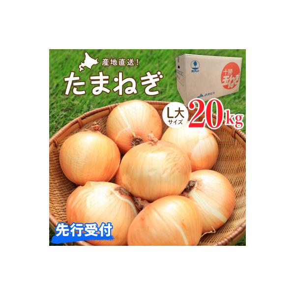 ■お礼品詳細　・配送方法：常温　・提供事業者：JAめむろ■お申し込み・配送・その他　・発送時期：入金確認後、10月上旬から順次発送 ※収穫状況により、発送予定から前後する場合がございます。（お届け時間帯指定可）　・申込受付期間：2026年9...