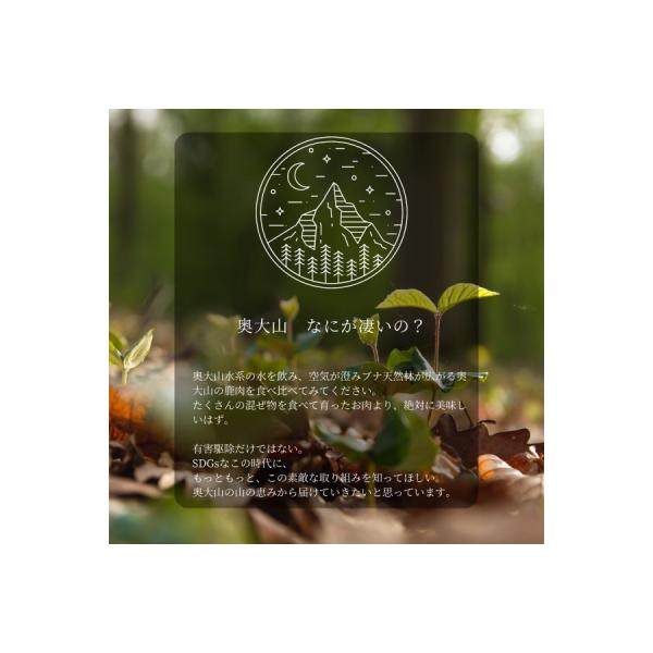 ■お礼品詳細　・内容量1：江府町産ジビエ　鹿肉を加工したレトルト加工品 厚切り食べ応え◎　赤身でヘルシー 　・内容量2：食肉加工品 / 内容量100g 　/ 内容 / 鹿肉(鳥取県江府町産)　・賞味期限：消費期限:製造から2年　・配送方法：...