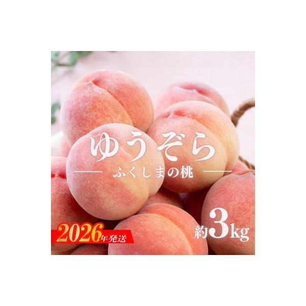 ■お礼品詳細　・事業者：株式会社幸青果　・内容量：約3kg　・賞味期限：※到着後お早めに　到着後３日以内推奨　・配送方法：冷蔵便　・アレルギー：もも■お申し込み・配送・その他　・発送時期：商品詳細へ記載（お届け時間帯指定可）　・申込受付期間...