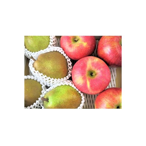 ■お礼品詳細　・配送方法：通常便　・事業者：有限会社　上山観光フルーツ園■お申し込み・配送・その他　・発送時期：2026年1月上旬〜1月下旬迄 　・申込受付期間：2026年1月15日迄　・配達外のエリア：離島、沖縄県　・寄付証明書の送付時期...