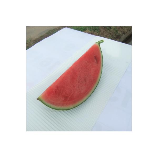 ■お礼品詳細　・配送方法：通常便　・事業者：木村フルーツ■お申し込み・配送・その他　・発送時期：2026年7月下旬〜8月上旬迄※ご不在日が多く配達が困難な場合、お礼品や配送先の変更をお願いする場合がございます。 　・申込受付期間：2026年...