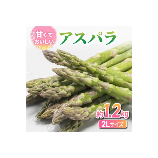 ■お礼品詳細　・内容量：東御市産アスパラガス 2Lサイズ 約1.2kg（24本前後、200g×6袋）　・賞味期限：発送から1週間程度(野菜ですので、状態を確認のうえ、お早めにお召し上がりください)　・発送期日：2026年4月下旬〜6月下旬頃...
