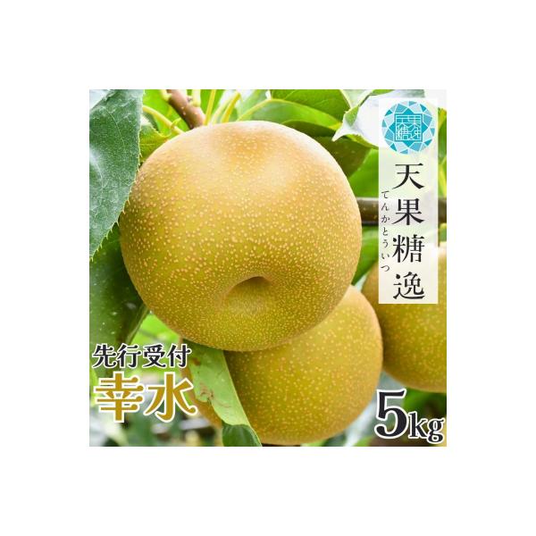 ■お礼品詳細　・取扱事業者：えちご中越農業協同組合　・地場産品基準：1 三条市内で生産されているため。■お申し込み・配送・その他　・発送時期：8月下旬〜9月上旬頃※天候や生育状況により、発送開始・終了時期が前後する場合がございます。※お申込...