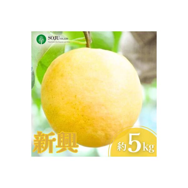 ■お礼品詳細　・事業者：株式会社想樹　・地場産品基準：1 三条市内で生産されているため。■お申し込み・配送・その他　・発送時期：申込完了から1〜2週間程度※天候や生育状況によって、お届け時期が前後する場合がございます。（お届け時間帯指定可）...