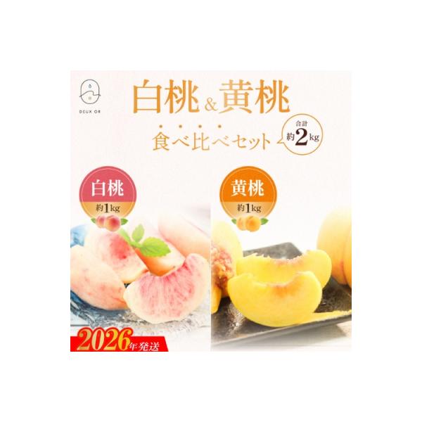 ■お礼品詳細　・事業者：カンノファーム　・内容量：約2kg　・賞味期限：発送日+3日※生もの(果物)ですので、できるだけお早めにお召し上がり下さい。　・配送方法：冷蔵便　・アレルギー：もも■お申し込み・配送・その他　・発送時期：2026年8...