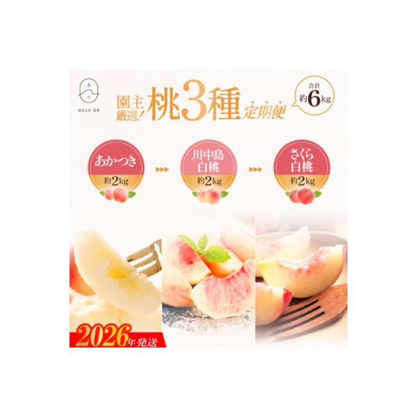 ■お礼品詳細　・事業者：カンノファーム　・内容量：約2kg×3回　・賞味期限：発送日+3日※生もの(果物)ですので、できるだけお早めにお召し上がり下さい。　・配送方法：冷蔵便　・アレルギー：もも■お申し込み・配送・その他　・発送時期：202...