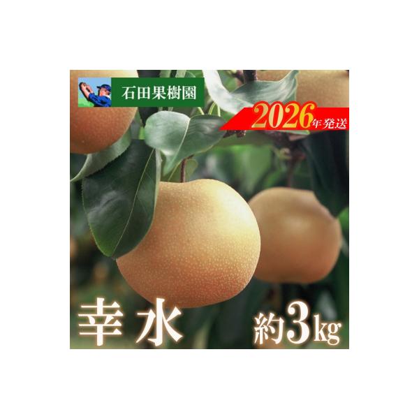 ■お礼品詳細　・事業者：石田果樹園　・内容量：約3kg(6〜9玉入)　・賞味期限：発送日より5日　・配送方法：通常便■お申し込み・配送・その他　・発送時期：2026年8月下旬から2026年9月上旬発送予定（お届け時間帯指定可）　・申込受付期...