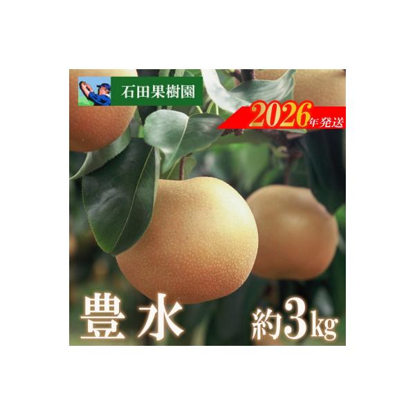 ■お礼品詳細　・事業者：石田果樹園　・内容量：約3kg(6〜9玉入)　・賞味期限：発送日より5日　・配送方法：通常便■お申し込み・配送・その他　・発送時期：2026年9月上旬から2026年9月中旬発送予定（お届け時間帯指定可）　・申込受付期...