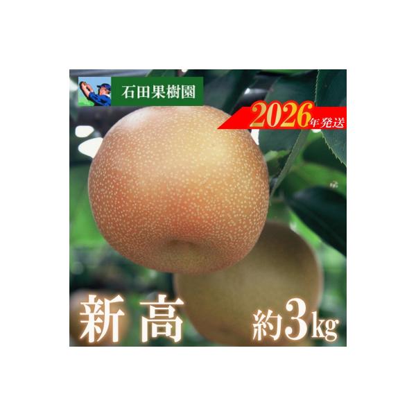 ■お礼品詳細　・事業者：石田果樹園　・内容量：3kg(5〜8玉入)　・賞味期限：発送日より7日　・配送方法：通常便■お申し込み・配送・その他　・発送時期：2026年10月上旬から2026年10月中旬発送予定（お届け時間帯指定可）　・申込受付...