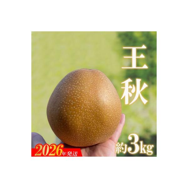 ■お礼品詳細　・事業者：宍戸果樹園　・内容量：3kg（5〜10玉入り）特秀品　・賞味期限：冷暗所で２週間※生もの(果物)ですので、できるだけお早めにお召し上がり下さい。　・配送方法：通常便■お申し込み・配送・その他　・発送時期：2026年1...