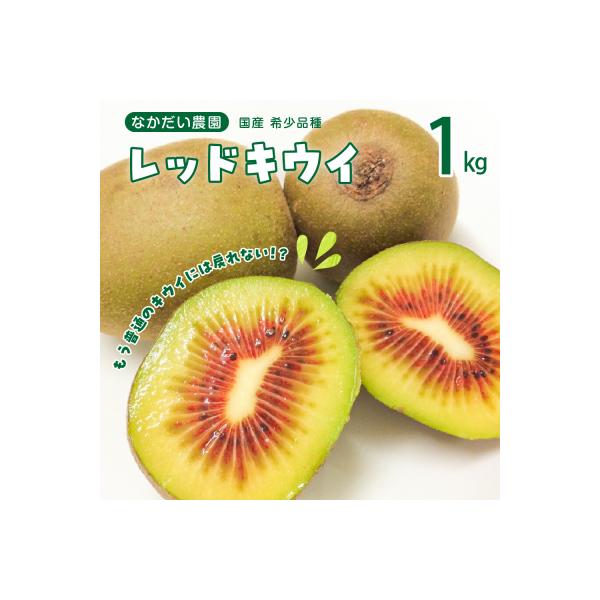 ■お礼品詳細　・配送方法 ：通常便　・内容：レッドキウイ 約1kg　・賞味期限（消費期限）：出荷日より約5〜20日(個体により追熟の期間が異なります)　・提供事業者：なかだい農園　・配送時期：9月下旬から11月上旬まで順次発送■お申し込み・...