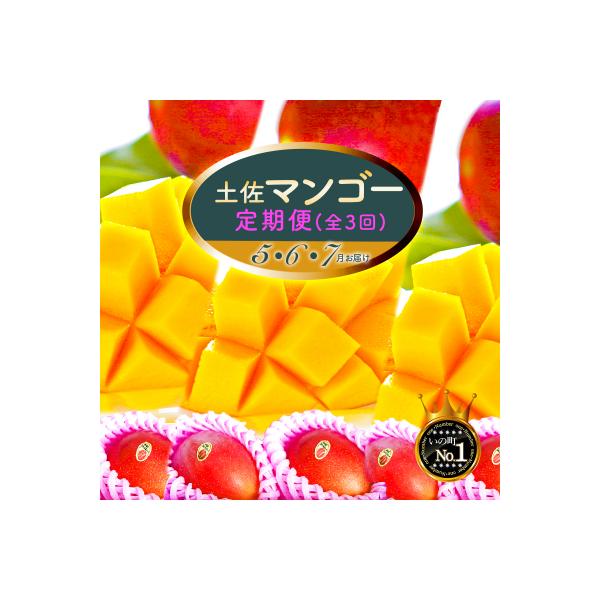 ■お礼品詳細　・申込期日：4月末まで(予定数に達した場合は早期終了)　・発送期日：2026年の5・6・7月にお届け(全3回)　・配送方法：常温便(夏季は冷蔵便でお届けの場合あり）　・事業者名：フルーツガーデン嵩■お申し込み・配送・その他　・...