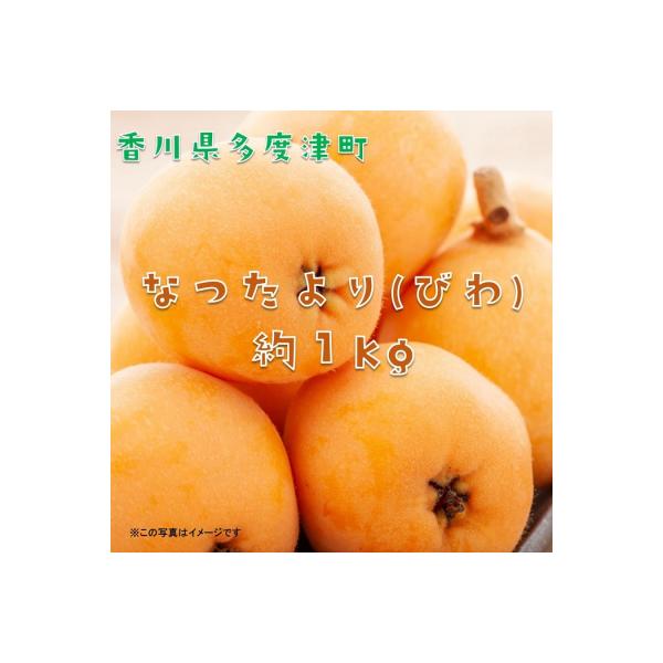 ■お礼品詳細　・発送方法：クール便（冷蔵）■お申し込み・配送・その他　・発送時期：5月下旬から6月中旬頃の発送です。　・申込受付期間：現在先行受付中です。　・配達外のエリア：　・寄付証明書の送付時期目安：申込完了日から３週間程度　・提供元：...