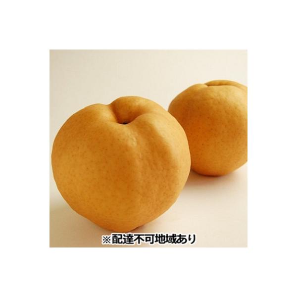 ■お礼品詳細　・配送不可地域：北海道、沖縄県、離島　・配送方法：通常便■お申し込み・配送・その他　・発送時期：2026年11月中旬〜2026年12月下旬　・申込受付期間：2026年12月10日まで　・配達外のエリア：離島、北海道、沖縄県　・...