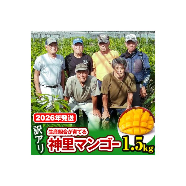 ■お礼品詳細　・配送種別：冷蔵　・アレルギー品目：ウルシ科:マンゴーでアレルギー反応の生じる方はご注意ください。　・事業者：神里果樹生産組合■お申し込み・配送・その他　・発送時期：2026年6月中旬〜7月下旬　※お申し込み順の発送となります...