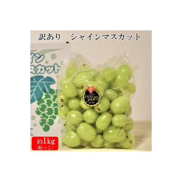 ■お礼品詳細■お申し込み・配送・その他　・発送時期：【期間限定】2026年7月中旬から10月上旬下記地域は発送不可地域となります。・伊豆諸島:青ヶ島村(青ヶ島)・利島村(利島)・御蔵島村(御蔵島)・式根島・小笠原諸島:小笠原村(父島・母島・...