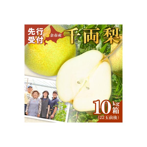 ■お礼品詳細　・内容量：10kg箱(バラ詰22玉前後)M・Lサイズ（370ｇ〜580ｇ）　・アレルギー：特定原材料7品目および特定原材料に準ずる21品目は使用していません　・発送方法：冷蔵　・消費期限：冷蔵にて保存し,お早めにお召し上がりく...