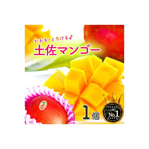 ■お礼品詳細　・内容量：土佐マンゴー　1個 ※その年の収穫量により、サイズが異なる場合があります。　・配送方法：常温便(夏季は冷蔵便でお届けの場合あり）　・消費期限：日持ちの目安としてお届けから常温3日または冷蔵保存5日程度　・事業者名：フ...