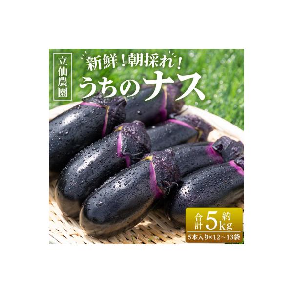 ■お礼品詳細　・容量：■5kg(5本入り12〜13袋)　・消費期限：出荷日(発送日)+6日　・配送方法：通常配送 ※発送のお知らせメールはお送りできません。　・配送状況について：マイページの「配送状況」は更新されません。表示は「自治体照会」...