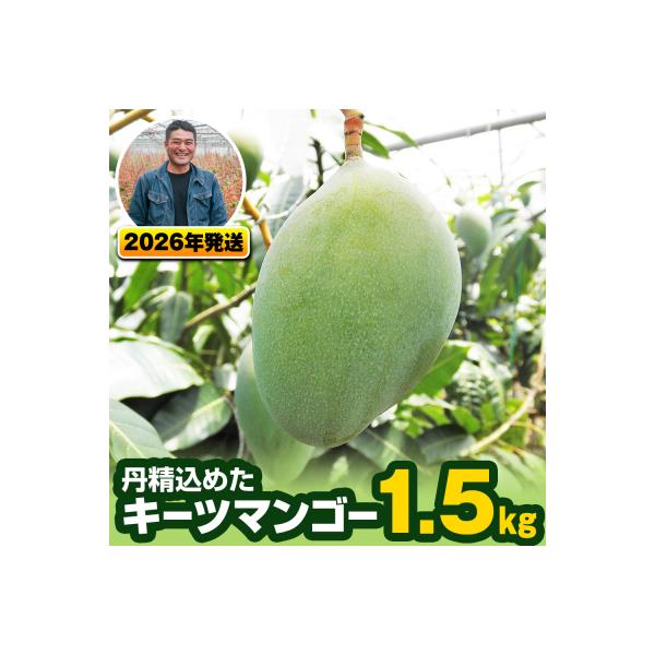 ■お礼品詳細　・配送種別：常温　・アレルギー品目：ウルシ科:マンゴーでアレルギー反応の生じる方はご注意ください。　・事業者：南風原農園■お申し込み・配送・その他　・発送時期：2026年7月下旬〜9月上旬 ※お申し込み順の発送となりますので予...