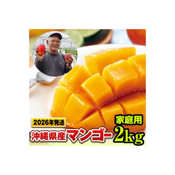 ■お礼品詳細　・配送種別：冷蔵　・アレルギー品目：ウルシ科:マンゴーでアレルギー反応の生じる方はご注意ください。　・事業者：トカテン農園■お申し込み・配送・その他　・発送時期：2026年6月中旬〜7月下旬 ※お申し込み順の発送となりますので...