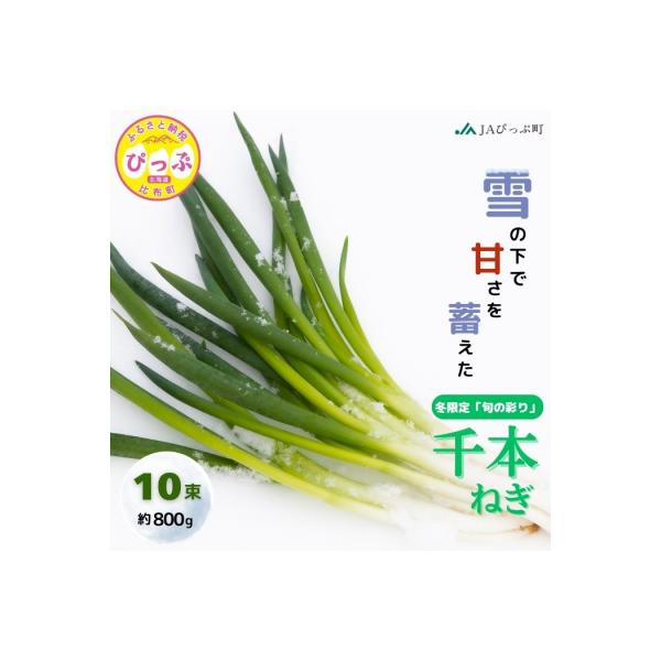 ■お礼品詳細　・内容量：比布町産ねぎ　80g×10束　約800g　・配送方法：冷蔵便　・賞味期限：発送日から5日以内　・事業者：JAぴっぷ町■お申し込み・配送・その他　・発送時期：2026年1月より順次発送いたします。　・申込受付期間：20...