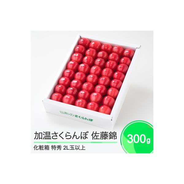 ■お礼品詳細■お申し込み・配送・その他　・発送時期：2026年4月下旬〜5月中旬頃 ※生育の状況により多少前後することがあります。　・申込受付期間：〜2026年4月20日まで　・配達外のエリア：離島、沖縄県　・寄付証明書の送付時期目安：申込...