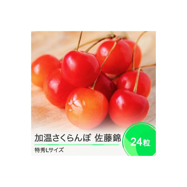 ■お礼品詳細　・産地：山形県　・さくらんぼの品種：佐藤錦（さとうにしき）　・栽培について：加温された空間でのハウス栽培品になります　・消費期限：発送から3日以内　・提供：株式会社東根農産センター■お申し込み・配送・その他　・発送時期：5月上...