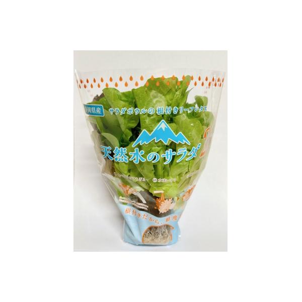 ■お礼品詳細　・配送方法：冷蔵便　・賞味期限：出荷日＋３日■お申し込み・配送・その他　・発送時期：決済完了後、1か月以内を目安に提供企業から発送いたします。　・申込受付期間：通年　・配達外のエリア：離島、沖縄県　・寄付証明書の送付時期目安：...