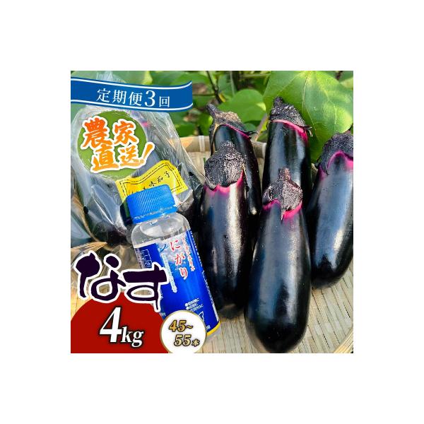 ■お礼品詳細■お申し込み・配送・その他　・発送時期：※7月〜8月は苗の入れ替え、作付け期間となるため発送ができません。　恐れ入りますが、定期便の発送時期が7月〜8月にさしかかる場合は9月下旬から順次発送いたします。　なお、天候等により発送の...