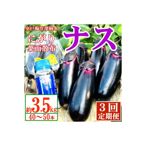 ■お礼品詳細■お申し込み・配送・その他　・発送時期：※7月〜8月は苗の入れ替え、作付け期間となるため発送ができません。　恐れ入りますが、定期便の発送時期が7月〜8月にさしかかる場合は9月下旬から順次発送いたします。　なお、天候等により発送の...