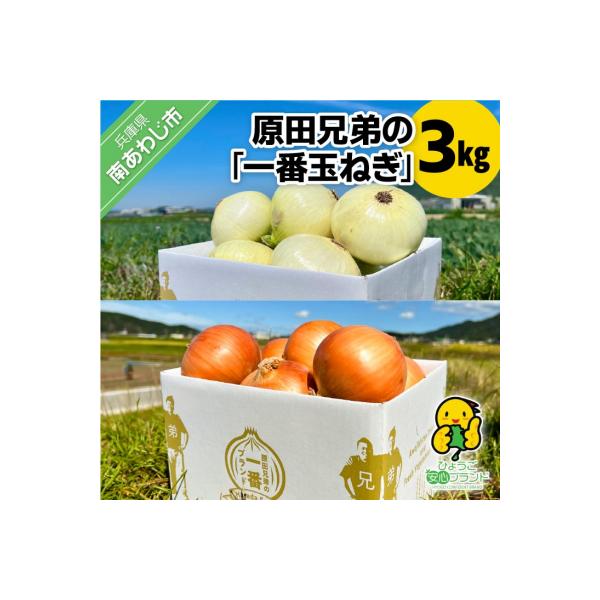 ■お礼品詳細■お申し込み・配送・その他　・発送時期：2月1日〜5月31日寄附分は、3月中旬〜5月末頃の間で新玉ねぎを発送します。6月1日〜翌1月31日寄附分は、完熟玉ねぎを発送します。※収穫状況により発送時期が前後する可能性があります。※生...