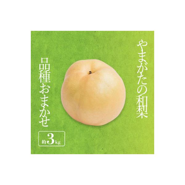 ■お礼品詳細　・容量：3kg（7〜12玉）　・賞味期限：発送日含む4日程度　・アレルギー：特定原材料等28品目は使用しておりません　・配送：冷蔵　・協力事業者：長井中央青果■お申し込み・配送・その他　・発送時期：2026年08月下旬頃〜09...