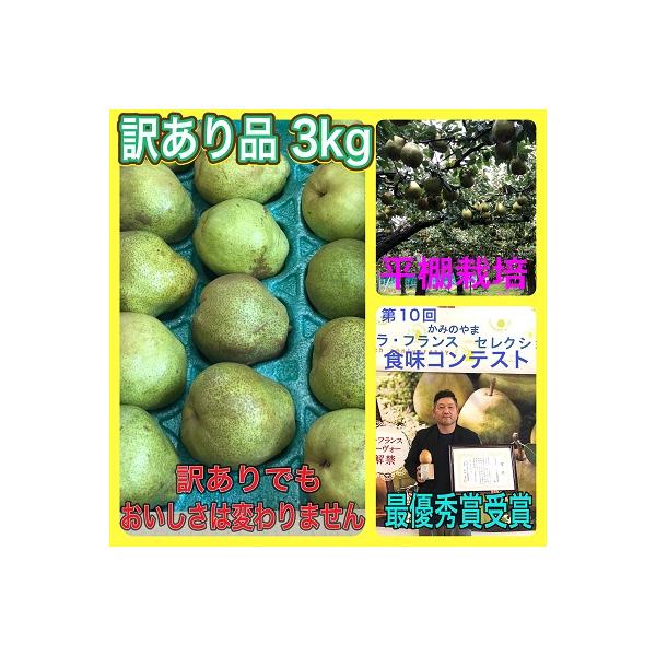 ■お礼品詳細　・配送方法：通常便　・事業者： 黒田農園■お申し込み・配送・その他　・発送時期：2025年10月下旬〜2026年1月上旬迄 　・申込受付期間：2025年12月31日迄　・配達外のエリア：離島、沖縄県　・寄付証明書の送付時期目安...