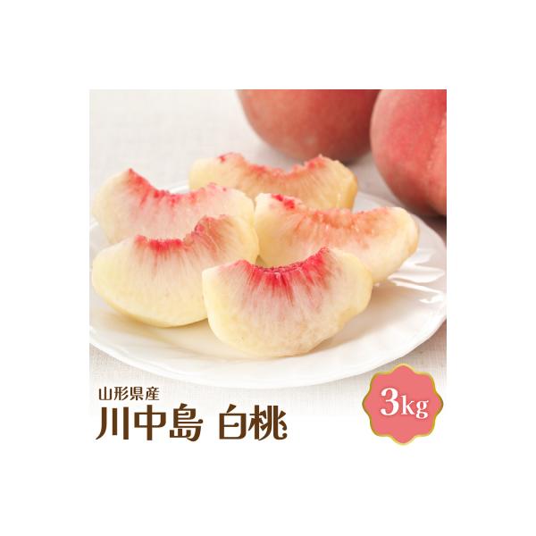 ■お礼品詳細　・配送目安：2026年8月下旬頃〜■お申し込み・配送・その他　・発送時期：8月下旬頃〜発送　※発送完了メールは送信できません。ご了承のうえお申し込みください。 ◆沖縄県・離島配送不可◆（お届け時間帯指定可）　・申込受付期間：2...