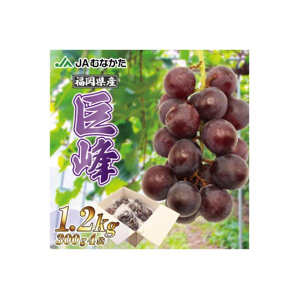 ■お礼品詳細　・内容量：巨峰1.2kg　・賞味期限：発送日より冷蔵で5日程度　・配送方法：冷蔵　・のし対応 ・表書き：不可　・配送不可地域：配送会社の配送不可地域　・事業者：JAむなかた農産物直売所「ほたるの里」：福岡県宗像市須恵1丁目1番...