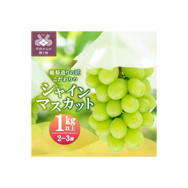 ■お礼品詳細　・事業者：アグリテックプラン株式会社■お申し込み・配送・その他　・発送時期：2026年8月下旬〜9月中旬頃 ※誠に恐れ入りますが、甲府市では仕様上、「お礼の品発送通知メール」を送付できかねます。何卒ご理解いただきますようお願い...