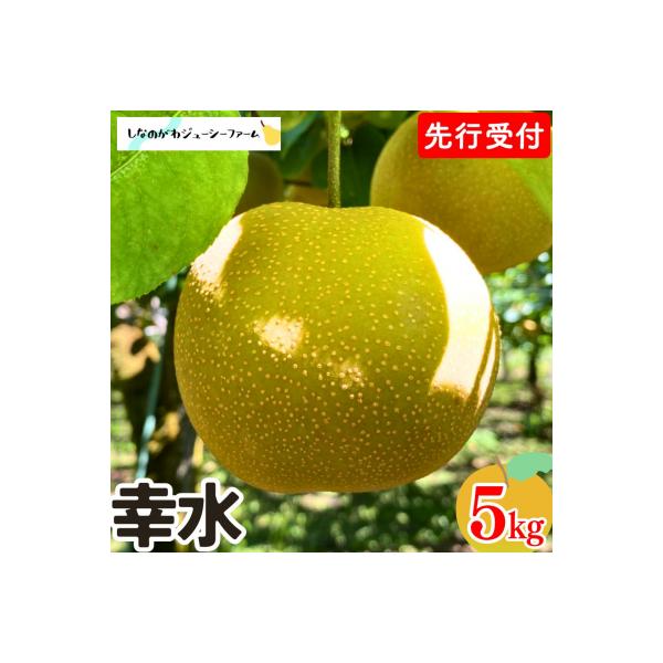 ■お礼品詳細　・事業者：しなのがわジューシーファーム　・地場産品基準：1 三条市内において生産されているため。■お申し込み・配送・その他　・発送時期：8月中旬〜9月上旬頃※天候や生育状況により、発送開始・終了時期が前後する場合がございます。...