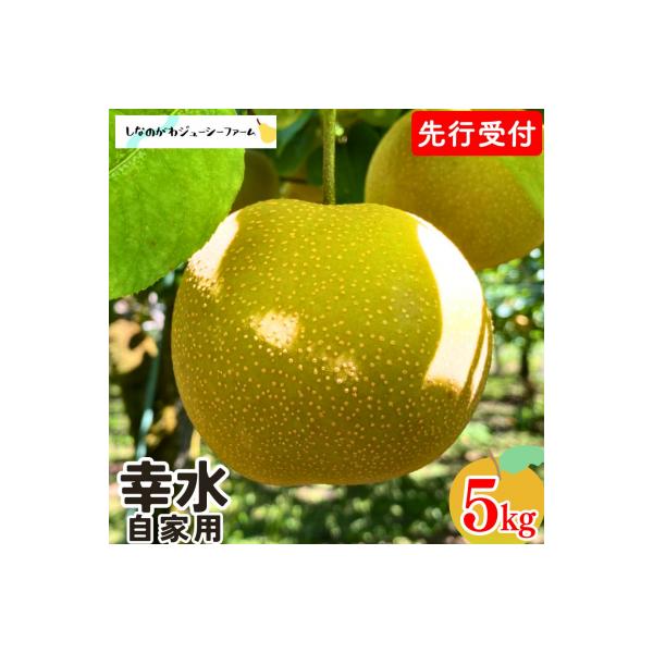 ■お礼品詳細　・事業者：しなのがわジューシーファーム　・地場産品基準：1 三条市内において生産されているため。■お申し込み・配送・その他　・発送時期：8月中旬〜9月上旬頃※天候や生育状況により、発送開始・終了時期が前後する場合がございます。...