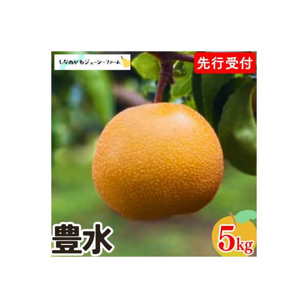 ■お礼品詳細　・事業者：しなのがわジューシーファーム　・地場産品基準：1 三条市内において生産されているため。■お申し込み・配送・その他　・発送時期：9月上旬〜下旬頃※天候や生育状況により、発送開始・終了時期が前後する場合がございます。※お...