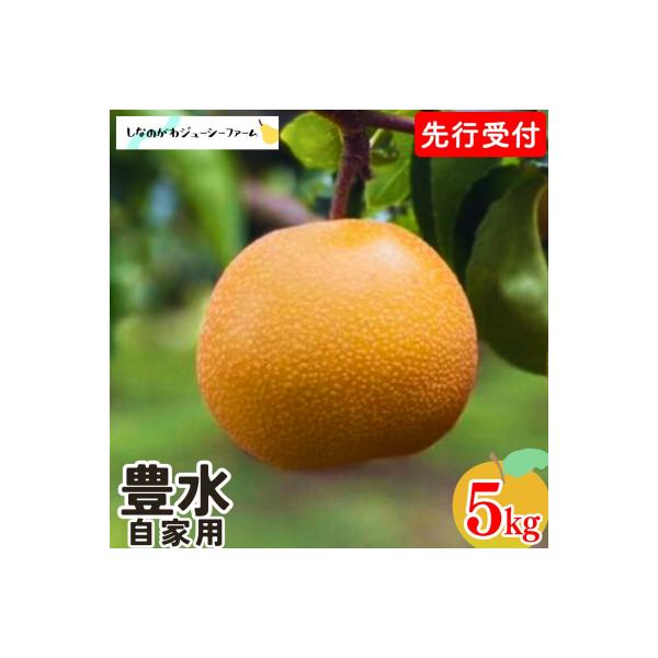 ■お礼品詳細　・事業者：しなのがわジューシーファーム　・地場産品基準：1 三条市内において生産されているため。■お申し込み・配送・その他　・発送時期：9月上旬〜下旬頃※天候や生育状況により、発送開始・終了時期が前後する場合がございます。※お...