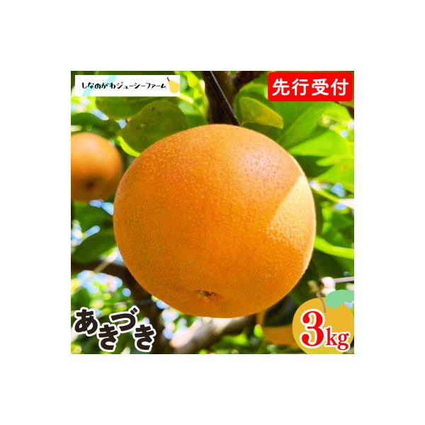 ■お礼品詳細　・事業者：しなのがわジューシーファーム　・地場産品基準：1 三条市内において生産されているため。■お申し込み・配送・その他　・発送時期：9月上旬〜10月上旬頃※天候や生育状況により、発送開始・終了時期が前後する場合がございます...