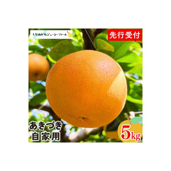 ■お礼品詳細　・事業者：しなのがわジューシーファーム　・地場産品基準：1 三条市内において生産されているため。■お申し込み・配送・その他　・発送時期：9月上旬〜10月上旬頃※天候や生育状況により、発送開始・終了時期が前後する場合がございます...