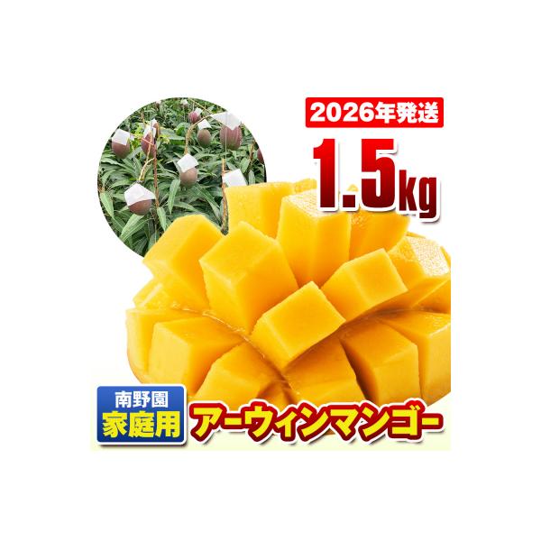 ■お礼品詳細　・配送種別：冷蔵　・アレルギー品目：ウルシ科:マンゴーでアレルギー反応の生じる方はご注意ください。　・内容：南野園■お申し込み・配送・その他　・発送時期：2026年6月中旬〜7月下旬 ※お申し込み順の発送となりますので予めご了...