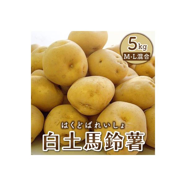 ■お礼品詳細　・内容量：東御市産白土馬鈴薯（M・L混合）約５kg　・賞味期限：冷暗所で保存した場合約１ヶ月　・発送期日：8月〜12月中旬　・発送期日 備考：4月〜7月にお申込みいただいた場合は8月から順次お届け。それ以降は入金から1ヶ月以内...