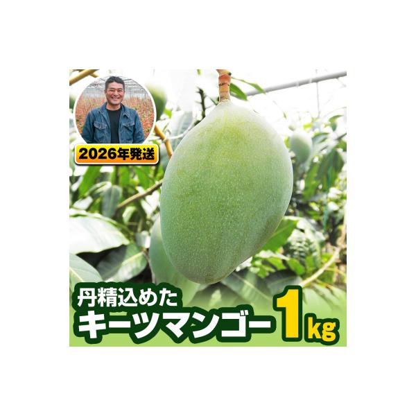 ■お礼品詳細　・配送種別：常温　・アレルギー品目：ウルシ科:マンゴーでアレルギー反応の生じる方はご注意ください。　・事業者：南風原農園■お申し込み・配送・その他　・発送時期：2026年7月下旬〜9月上旬 ※お申し込み順の発送となりますので予...