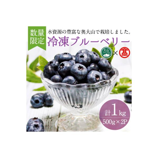 ■お礼品詳細　・内容量：冷凍ブルーベリー 500g×2P (計1.0kg)　・賞味期限：360日　・配送方法：冷凍　・製造元：奥大山ブルーベリーファーム　・提供元：株式会社米子高島屋　・地産理由：江府町が1号で提供する共通返礼品であるため。...