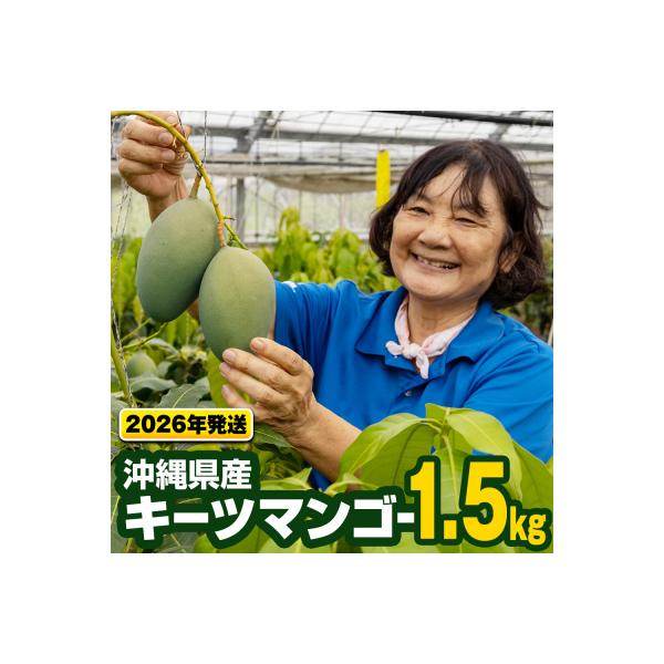 ■お礼品詳細　・配送種別：常温　・アレルギー品目：ウルシ科:マンゴーでアレルギー反応の生じる方はご注意ください。　・事業者：トカテン農園■お申し込み・配送・その他　・発送時期：2026年7月下旬〜9月上旬 ※お申し込み順の発送となりますので...